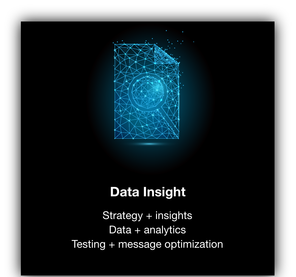 Detroit Software Consultant India Pvt Ltd.